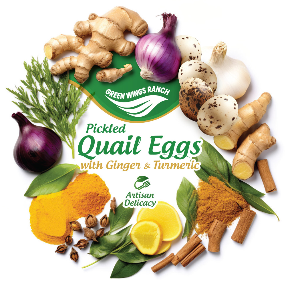 Pickled Quail Eggs (Ginger & Turmeric – Spicy) – Welcome to Green Wings ...